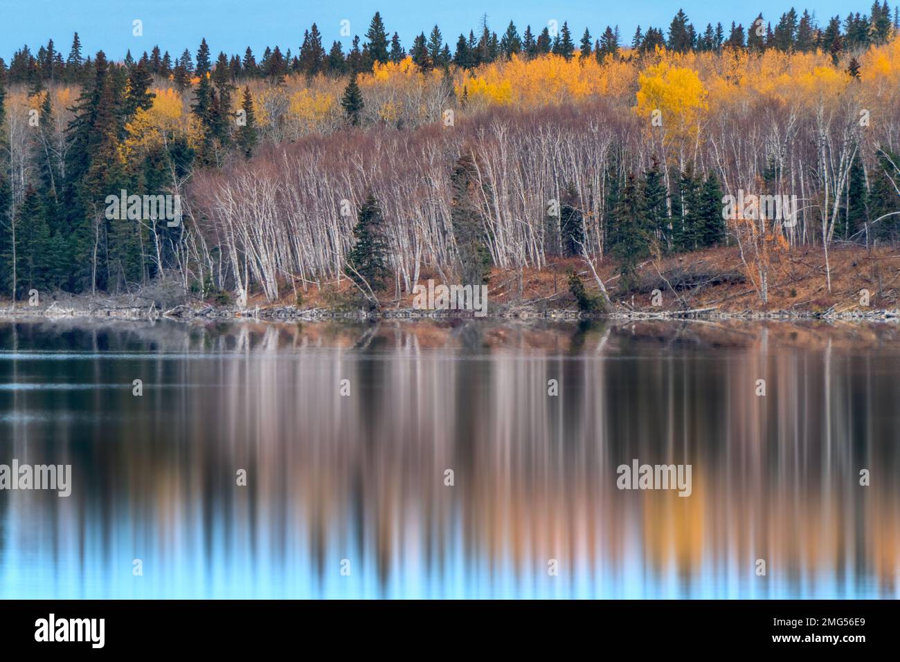 Fall foliage orange colors in the Canadian Prairies Stock Photo - Alamy