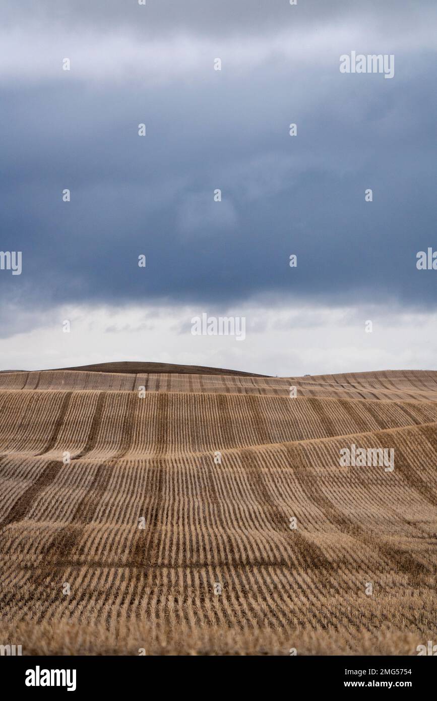 Prairie Scene Storm Clouds in Saskatchewan Canada Stock Photo - Alamy