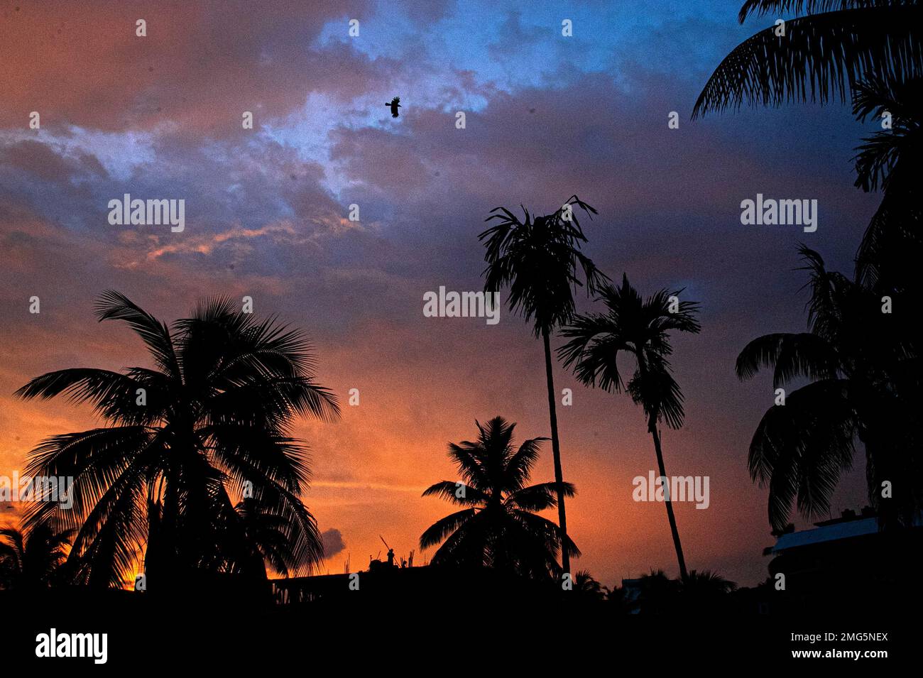An Indian laborer works at an under constructed building as a bird ...