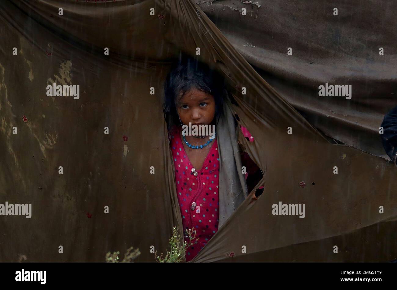 A nomadic girl looks out from a ripped tent during rainfall at a slum ...