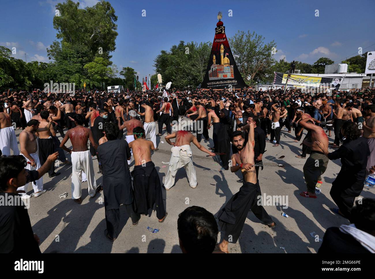 Shiite Muslims flagellate themselves with knives on chains during a ...