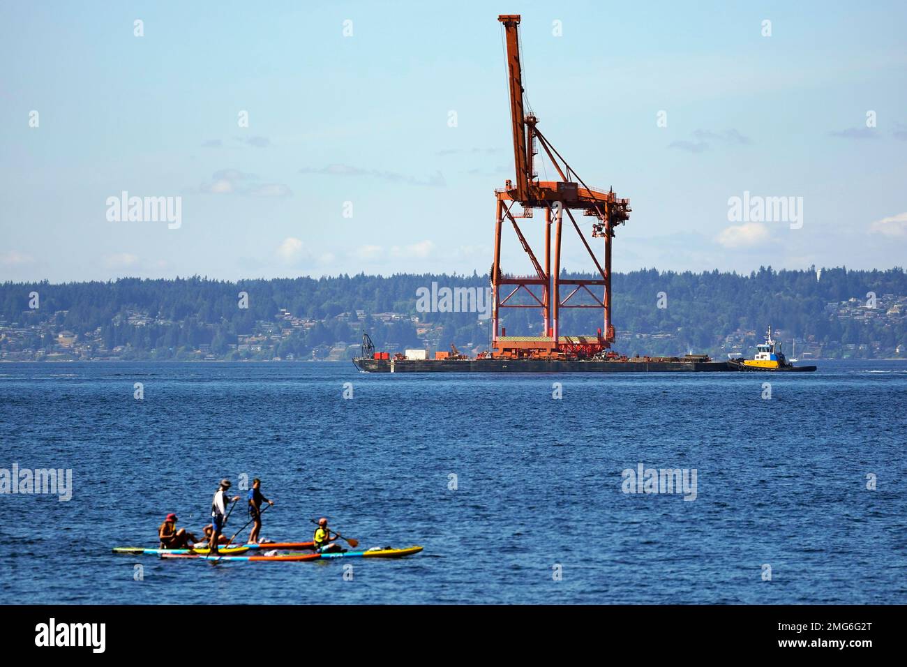 People atop stand-up paddle boards look on as a barge with a 116-foot ...