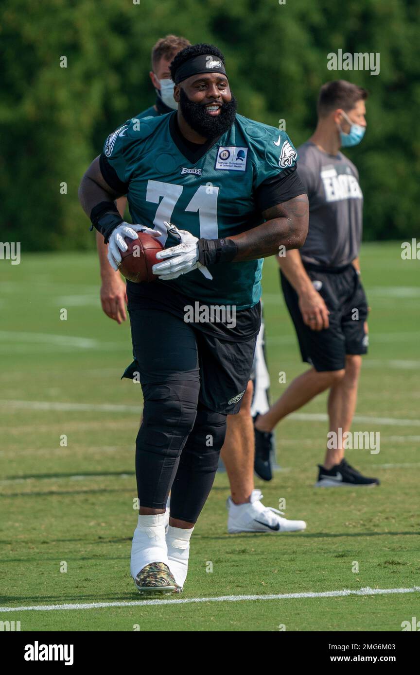 Philadelphia Eagles tackle Jason Peters in action during an NFL ...