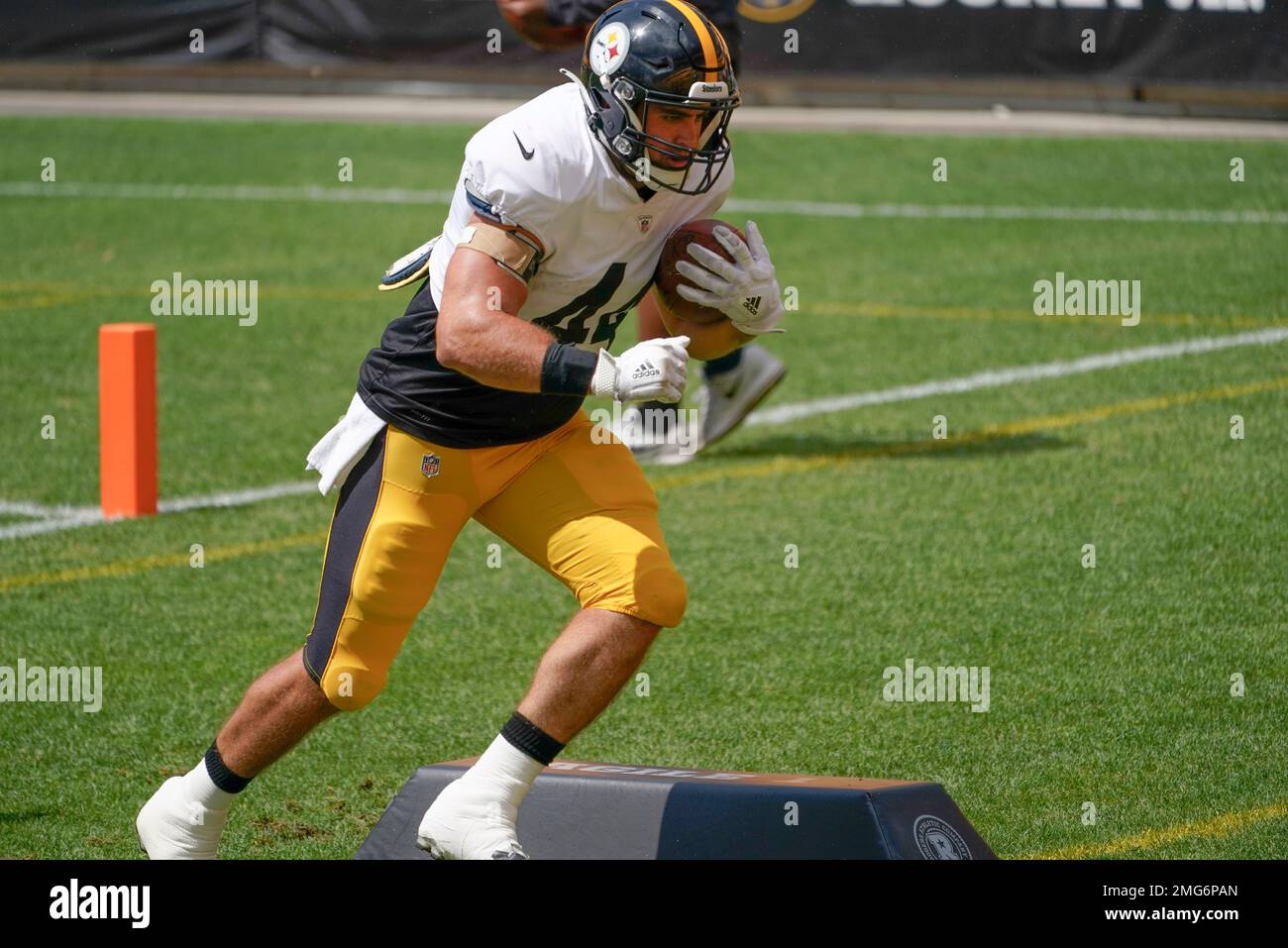 Pittsburgh Steelers fullback Derek Watt (44) during an NFL football ...