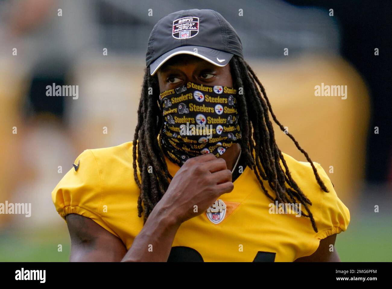 Pittsburgh Steelers safety Terrell Edmunds (34)during an NFL football ...