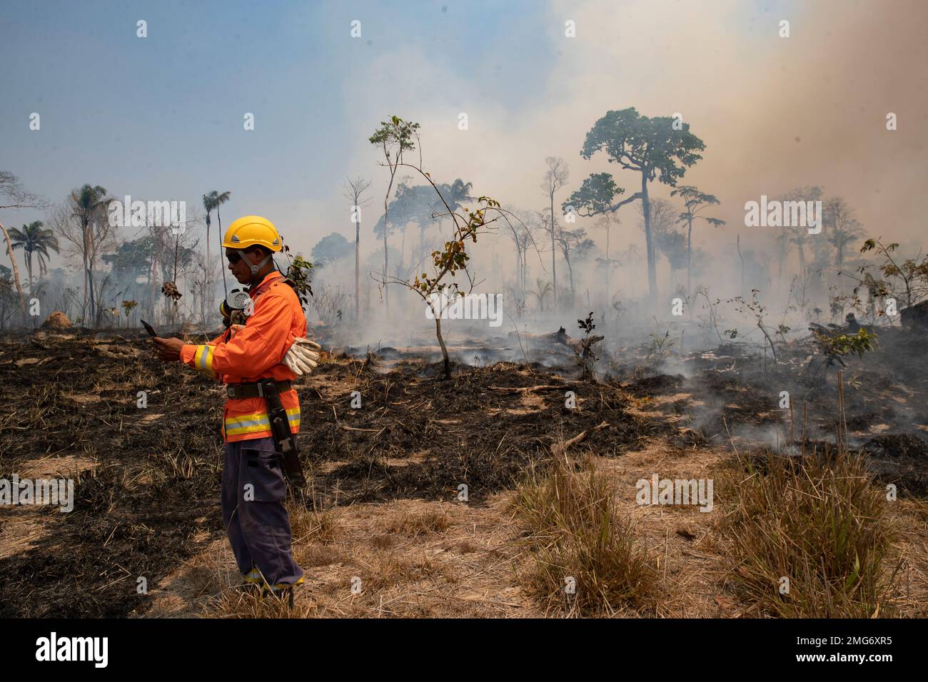 A firefighter checks his GPS device as fire consumes land deforested by ...