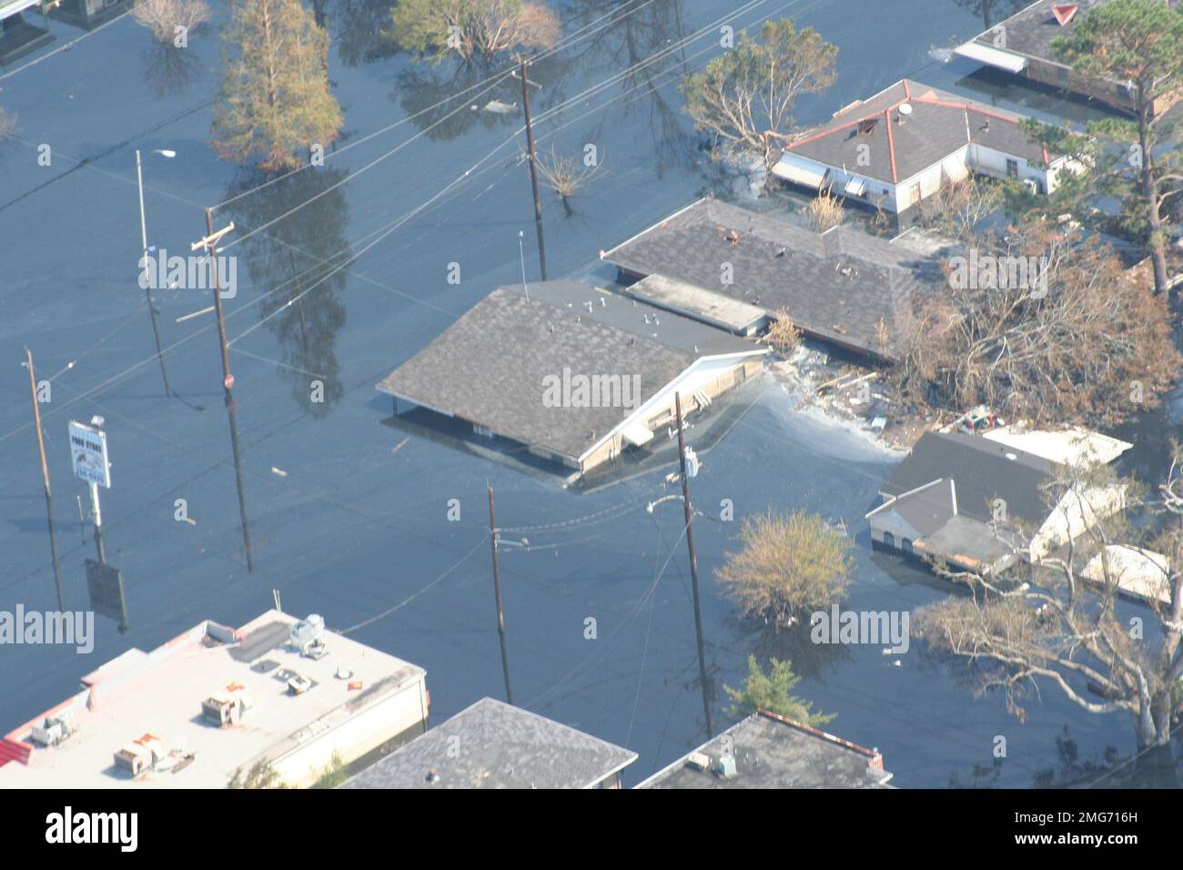 Aftermath - Flooding - Miscellaneous - 26-HK-36-239. close-up shot of ...