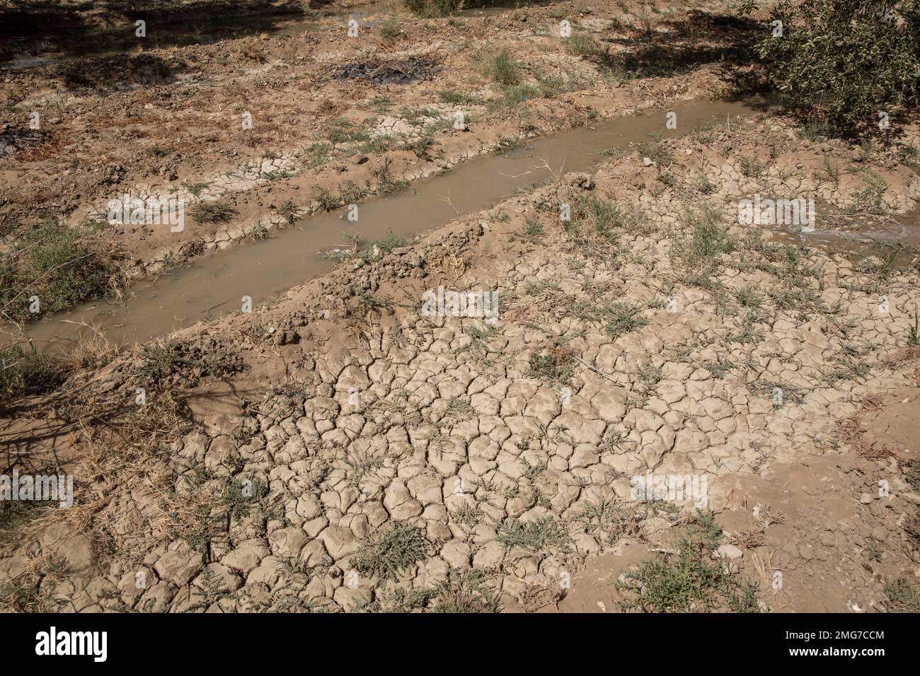 A dry land that was once fertile and green, in Second Village, Qouta ...