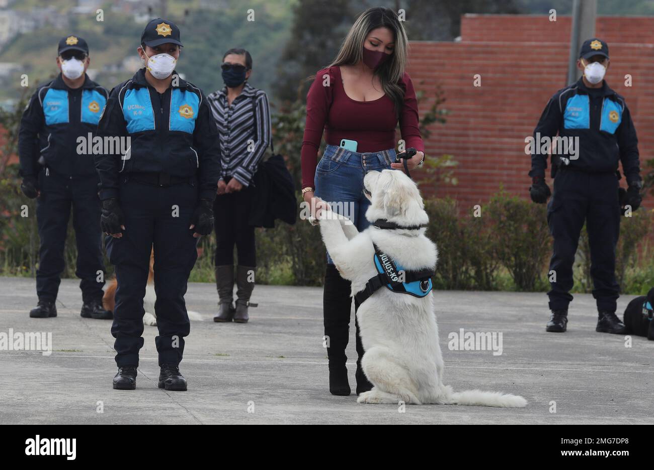 A police dog greets its new owner during a K-9 police unit retirement ...