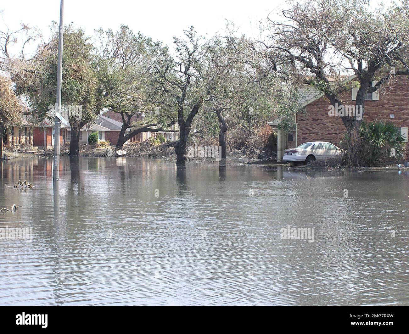 Marine Safety Unit Baton Rouge - New Orleans Flood Operations - 26-HK ...
