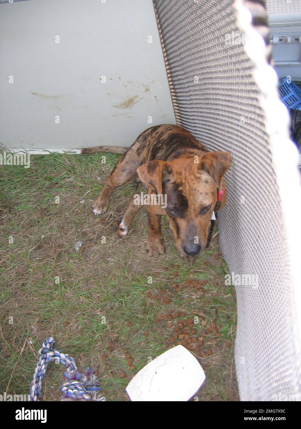 Great Lakes Search and Rescue Detachment - 26-HK-144-320. Hurricane ...