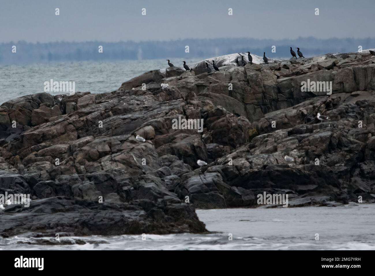 Boston harbor islands winter hi-res stock photography and images - Alamy