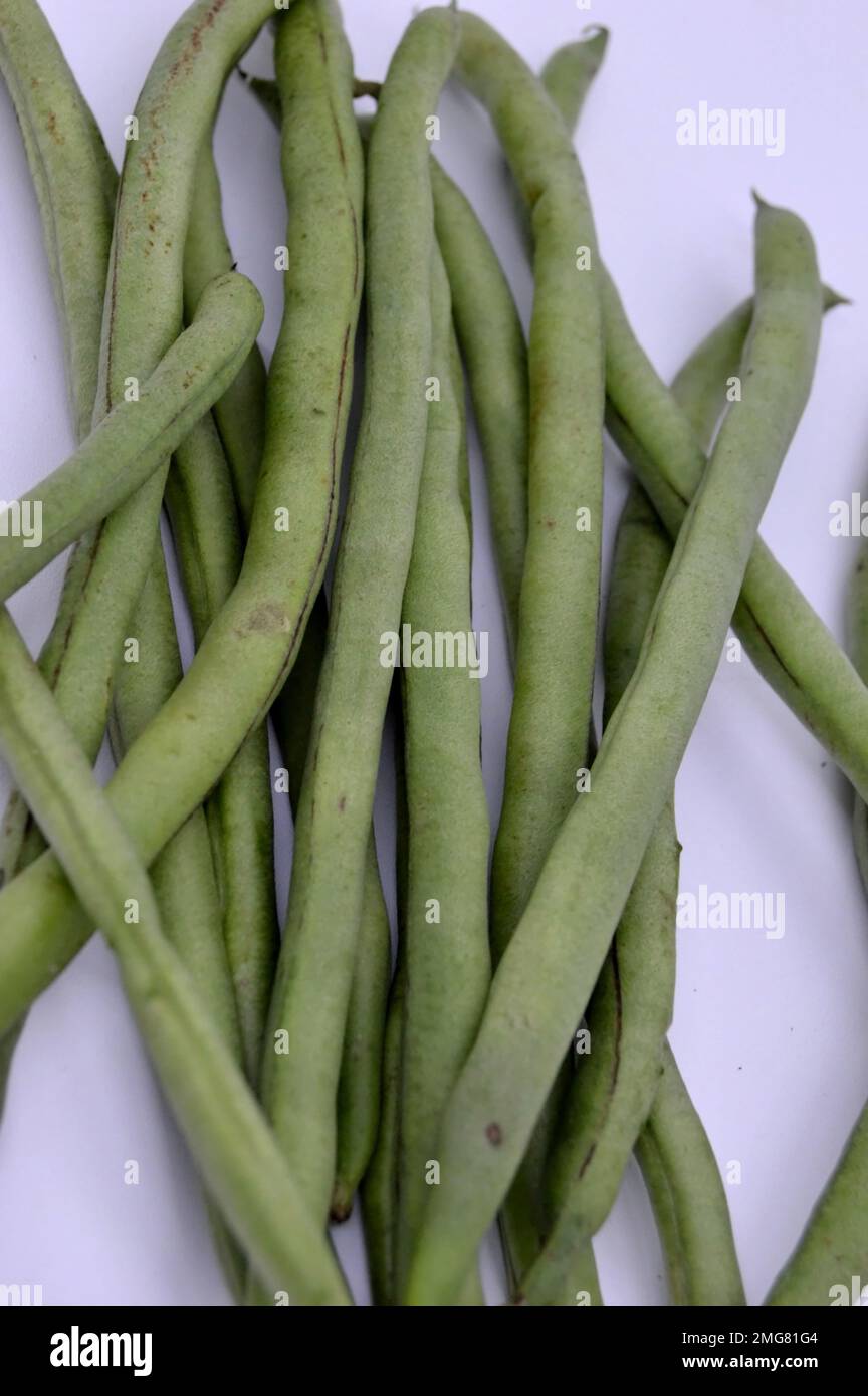 Green Beans Are Known By Many Common Names, Including French Beans ...