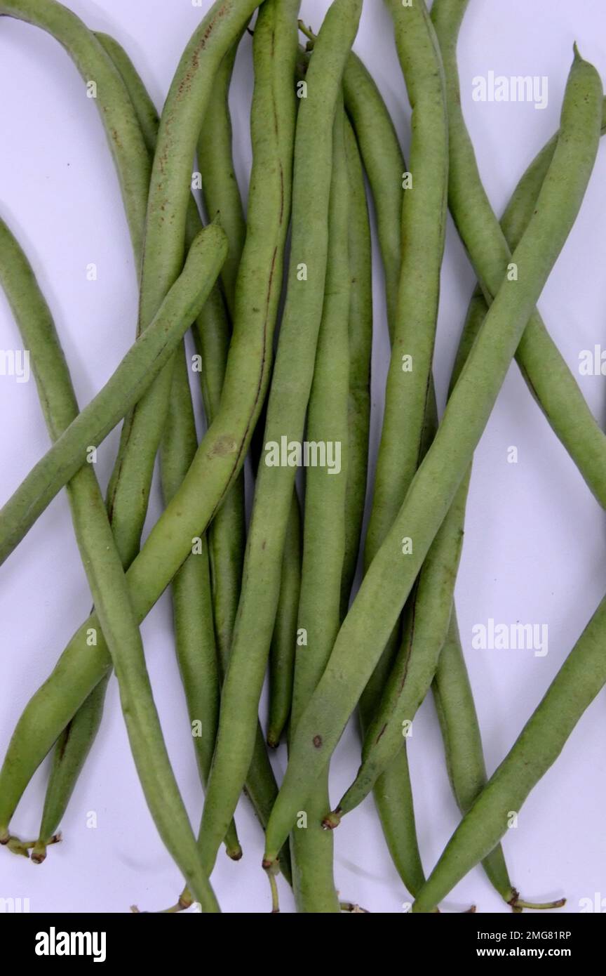 Green Beans Are Known By Many Common Names, Including French Beans ...