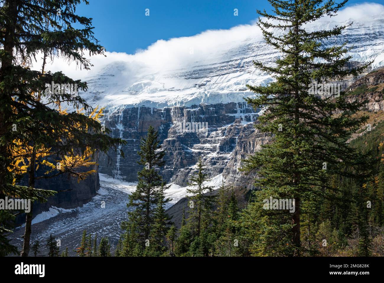View from Plain of Six Glaciers track in Banff National Park, Canada ...