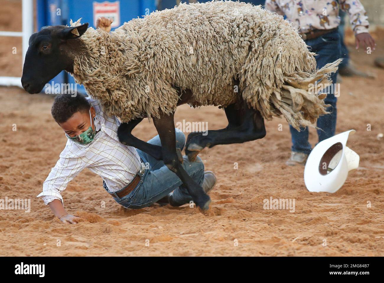 Spanky Williams falls off his ride as he competes in the Mutton Bustin ...