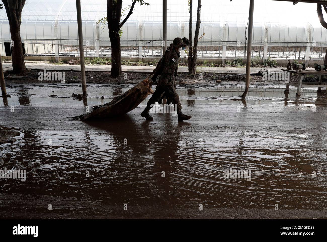 South Korean soldiers clean up debris to help farmers from a damaged ...