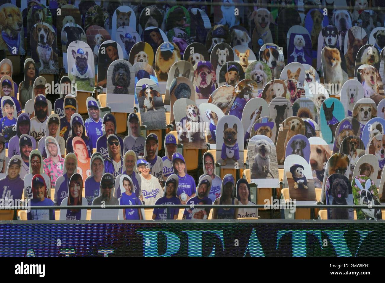 Cutouts of dogs mixed in with fan cutouts during a baseball game ...