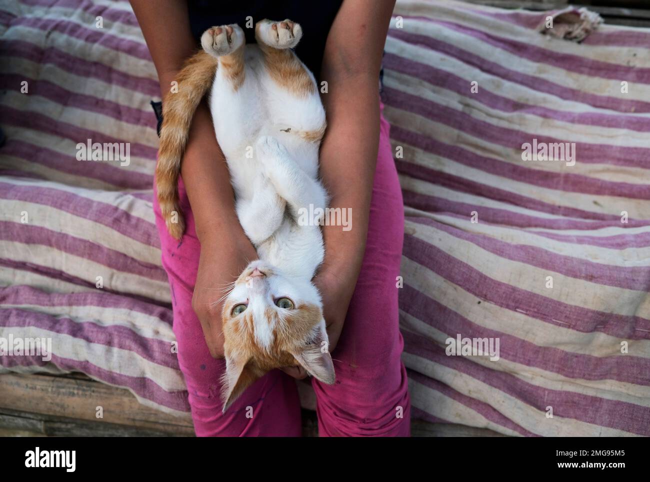 A Naga girl sits with her cat outside her house in Kohima village, in ...