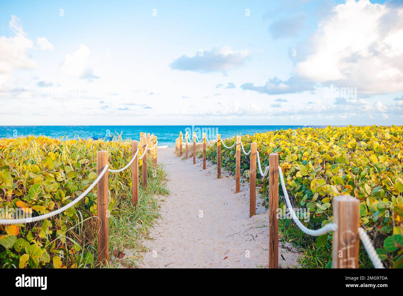 Sand trail to the beach in Florida Stock Photo - Alamy