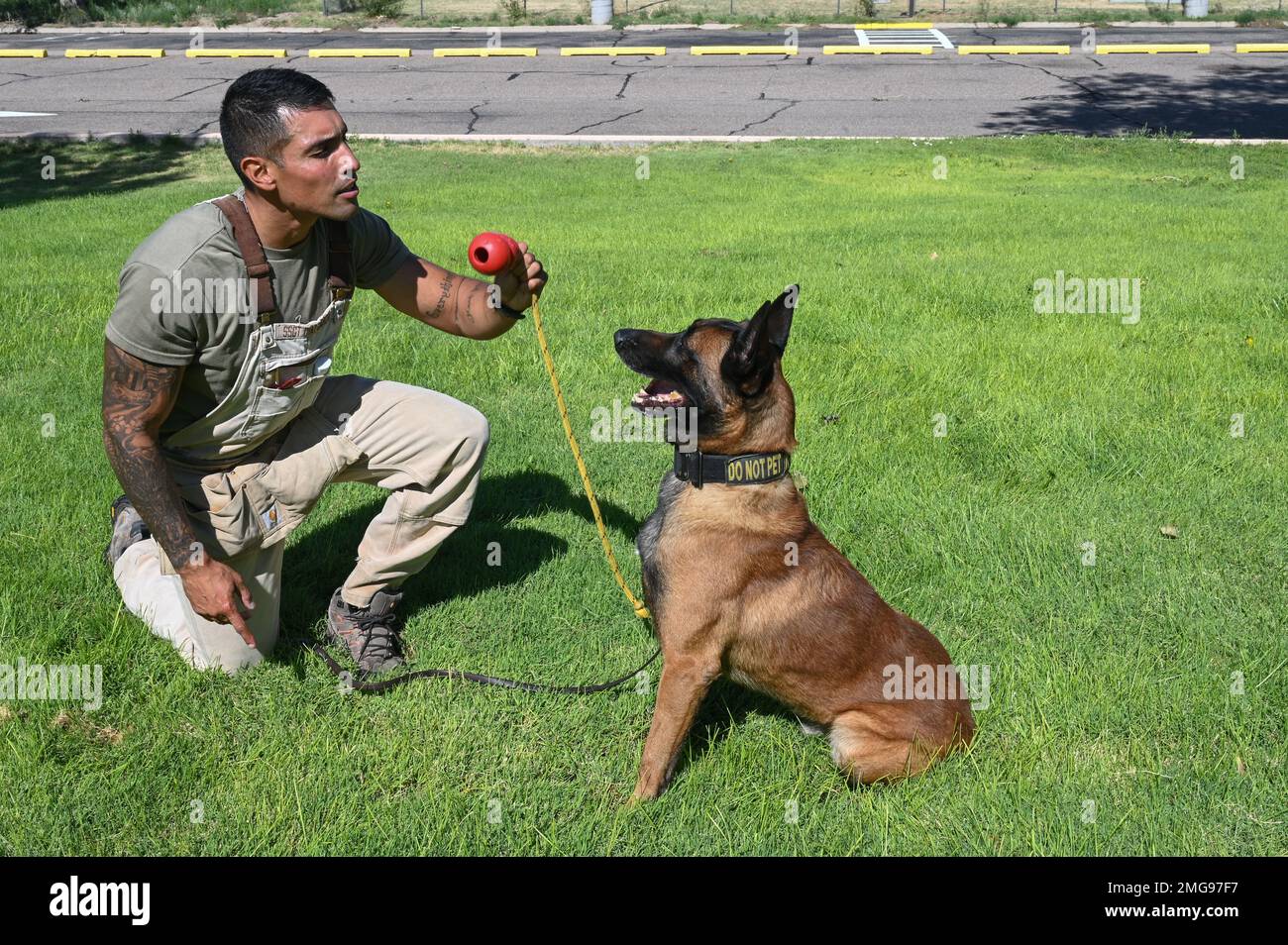 Are Drug Dogs Trained To Attack