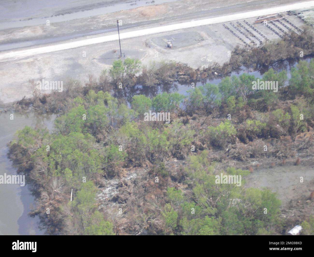 120 bass hi-res stock photography and images - Alamy