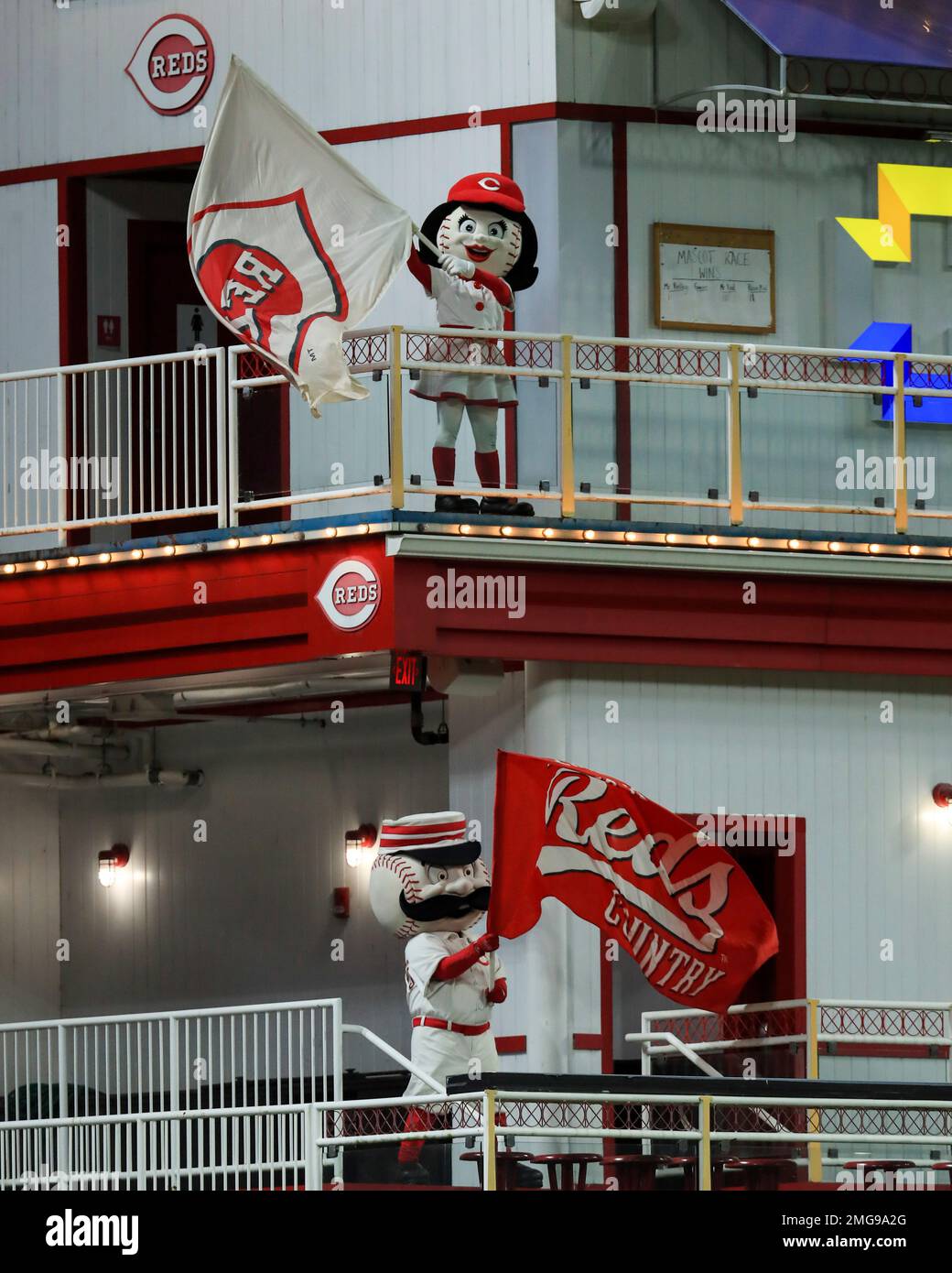 Cincinnati Reds' mascots Rosie Red, top, and Mr. Red, bottom wave flags ...