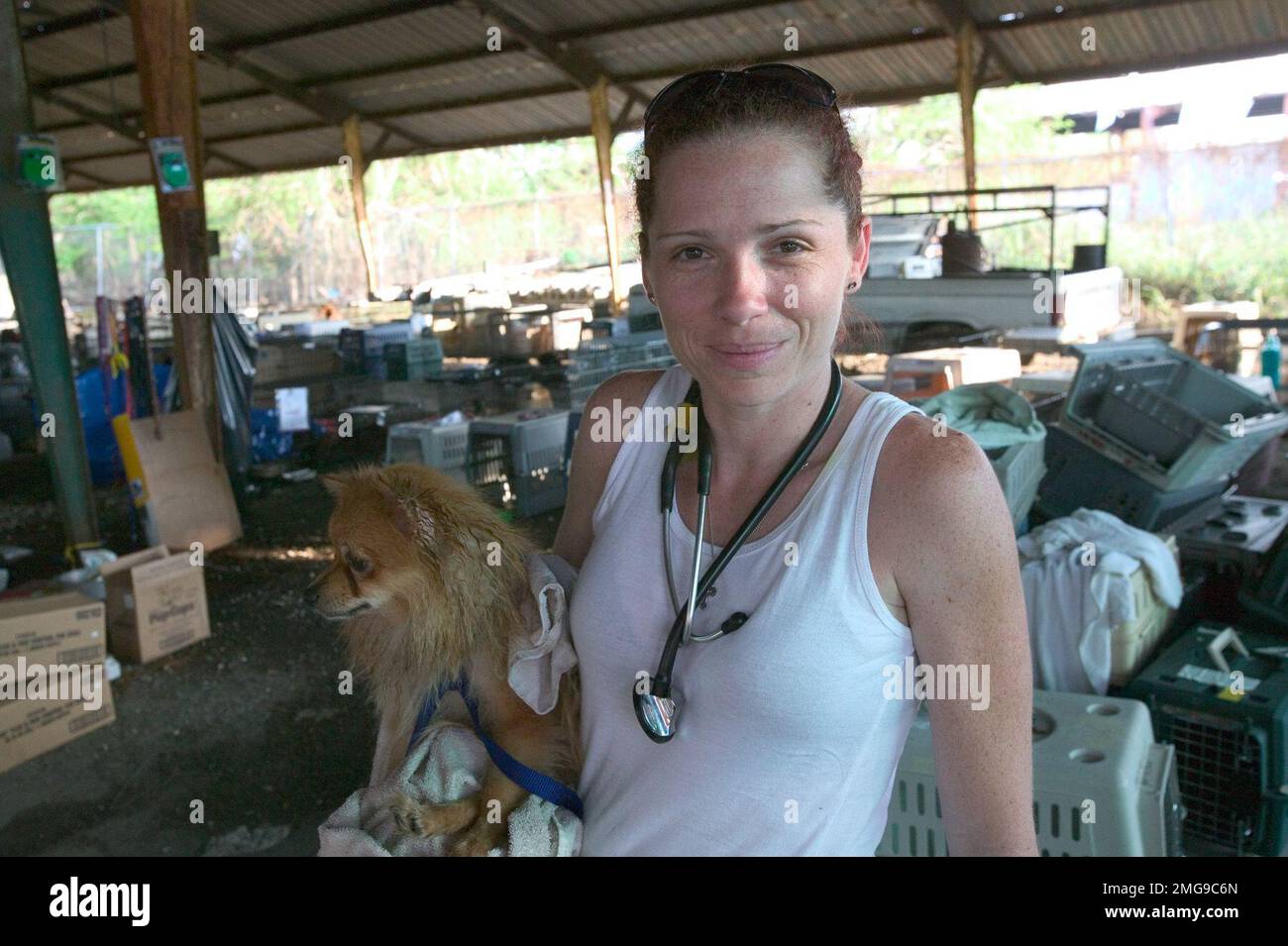 Animals - Rescue - 26-HK-60-14. Hurricane Katrina Stock Photo - Alamy