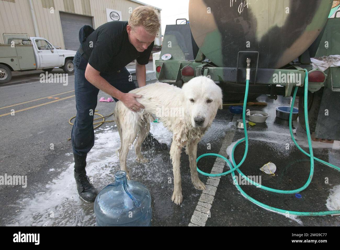Animals - Rescue - 26-HK-60-6. Hurricane Katrina Stock Photo - Alamy