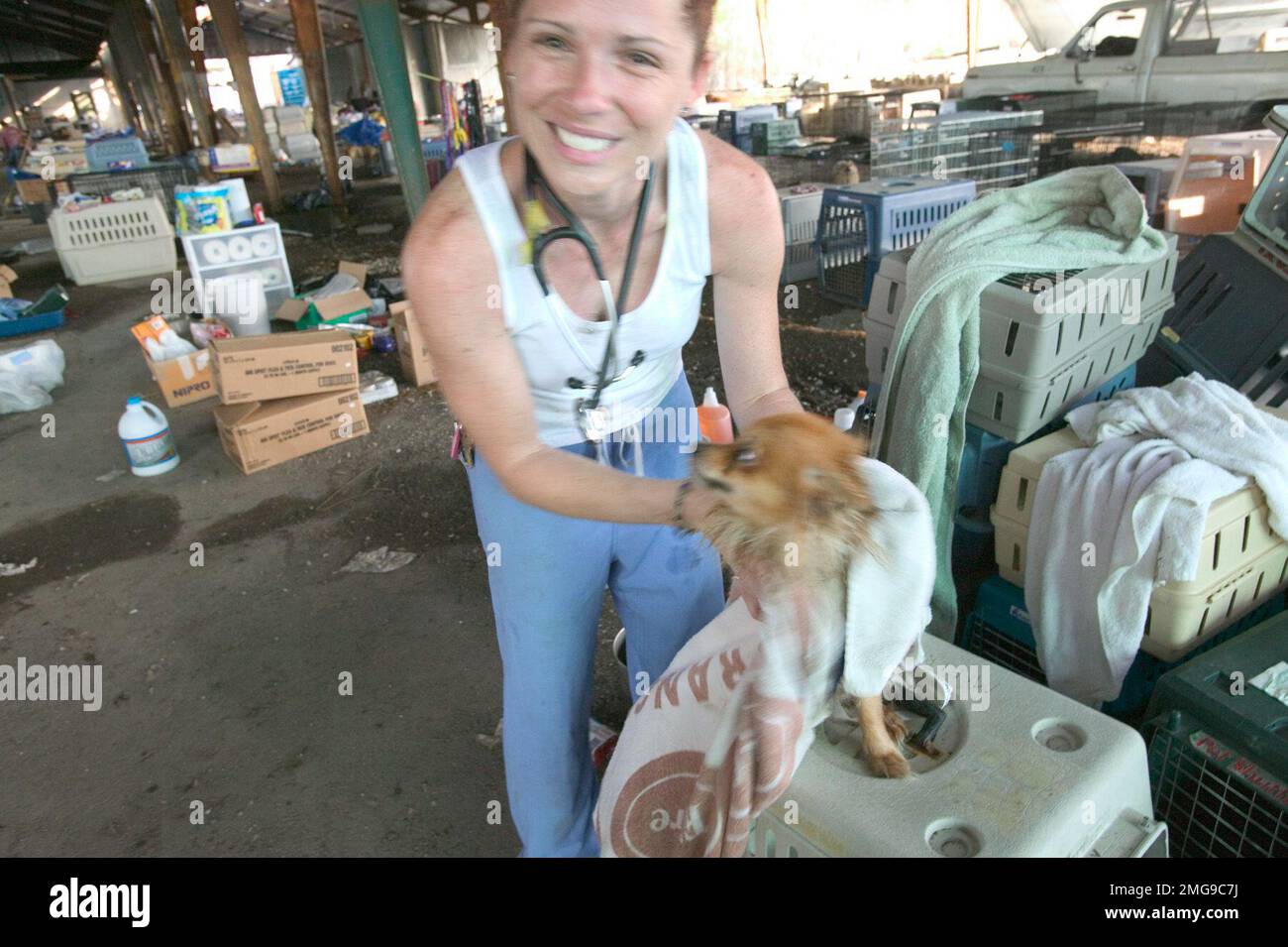 Animals - Rescue - 26-HK-60-8. Hurricane Katrina Stock Photo - Alamy