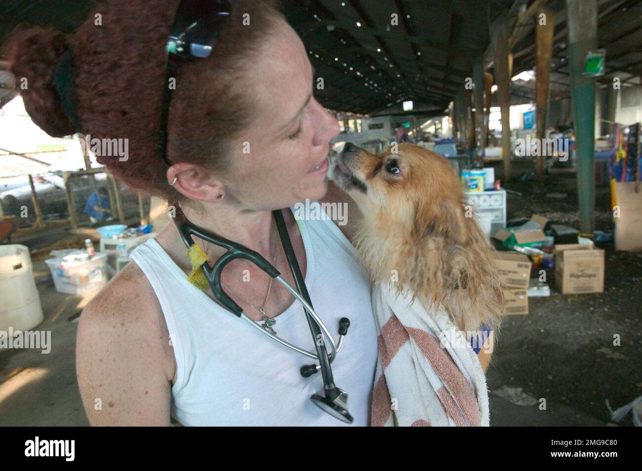 Animal rescue hurricane katrina hi-res stock photography and images - Alamy