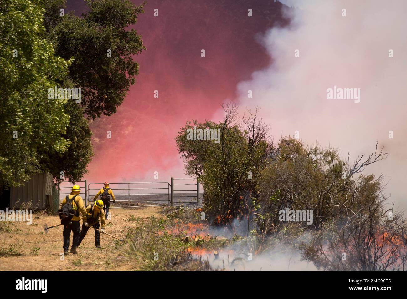 Firefighters battle the Apple Fire in Cherry Valley, Calif., Saturday ...