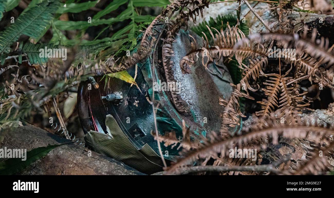 An training Improvised Explosive Device hidden in the brush during IED ...