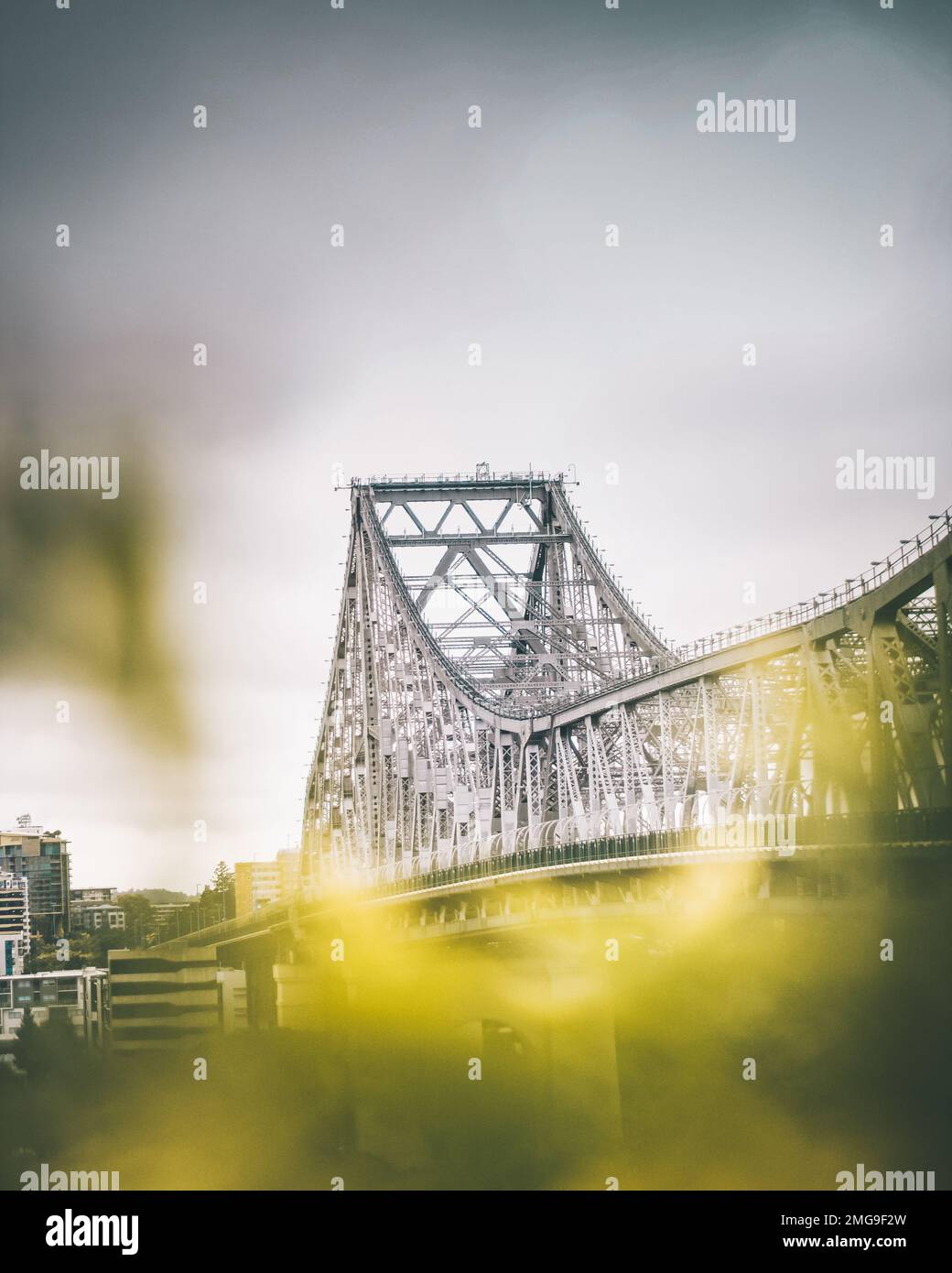 Story Bridge emerging from the greenery in Brisbane Stock Photo - Alamy