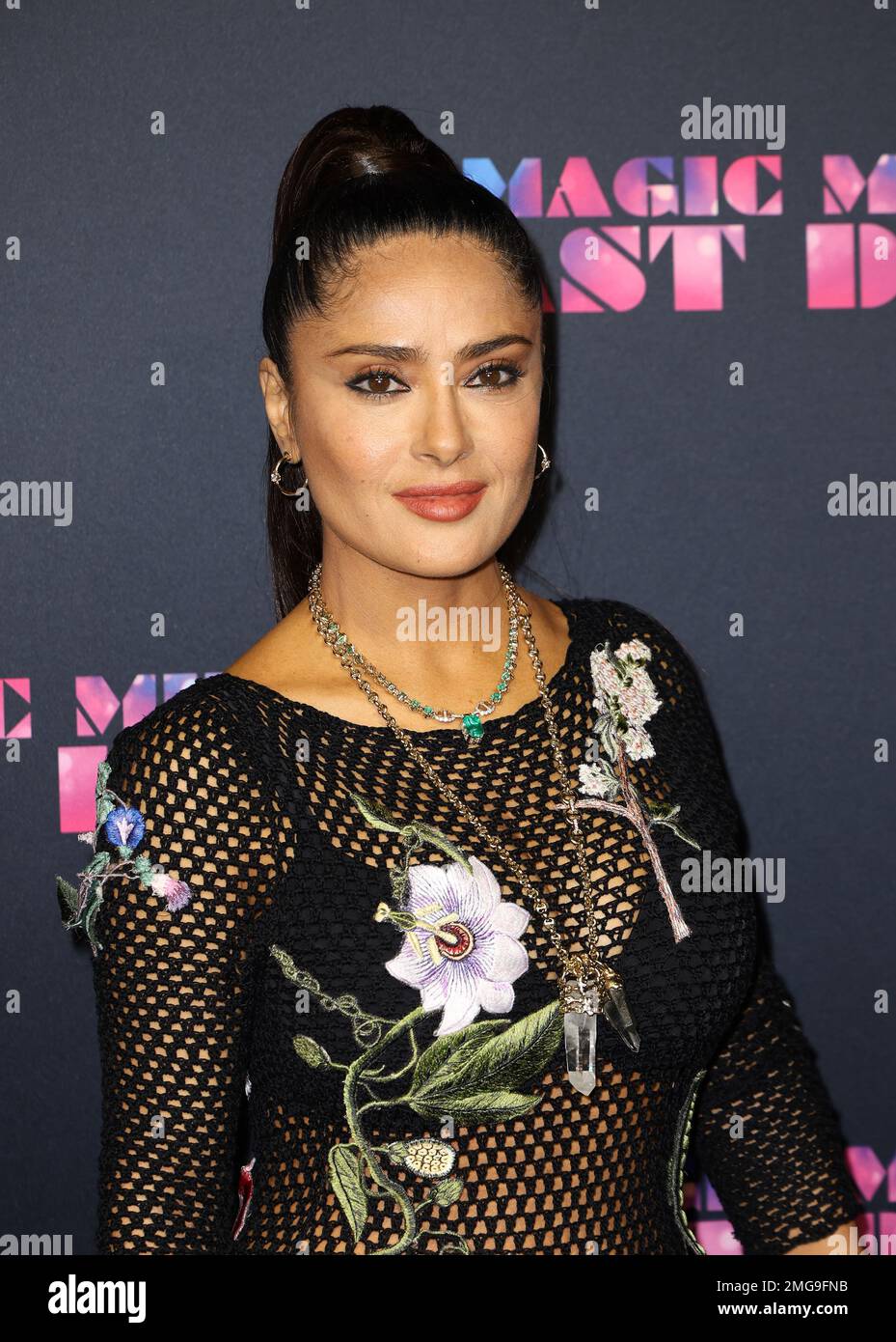MIAMI BEACH, FL - JANUARY 25: Salma Hayek attends the "Magic Mike's ...
