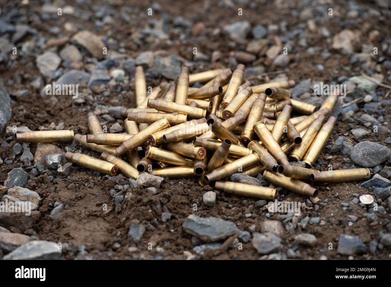 M4 modular weapon system hi-res stock photography and images - Alamy