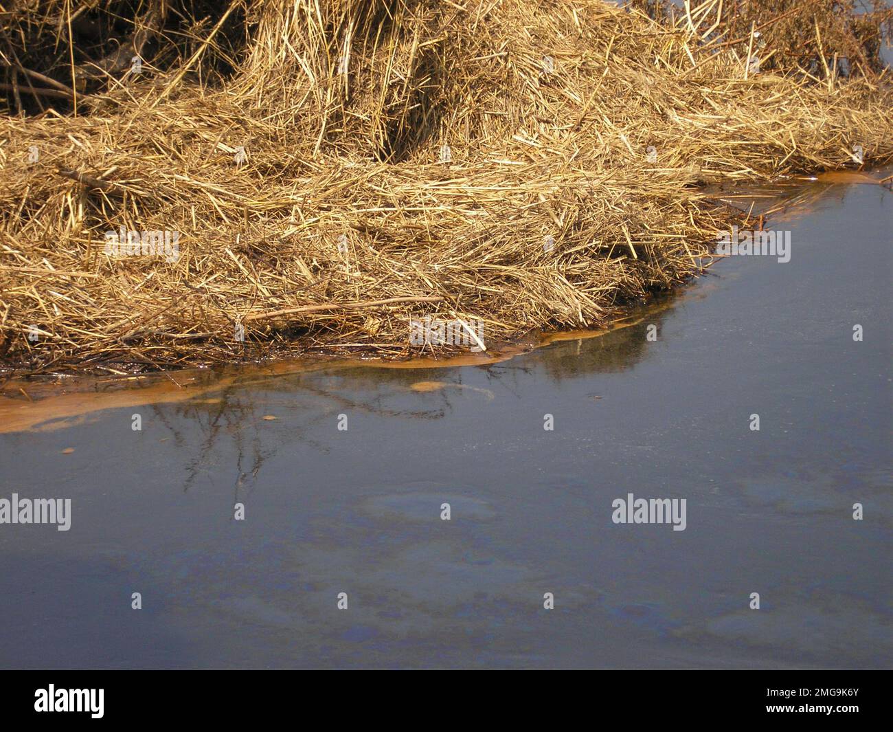 Pollution - ESU St. Louis Response - North Bass - 26-HK-229-145. NORTH ...