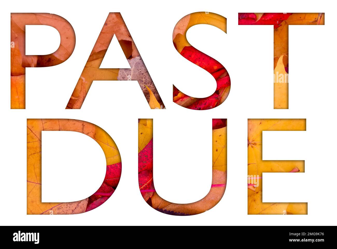 Autumn leaves, objects with Past Due text. Natural patterns, color ...