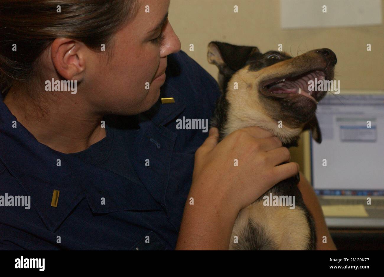 Animals - 26-HK-58-48. Dog indoors with Coast Guard woman15. Hurricane ...