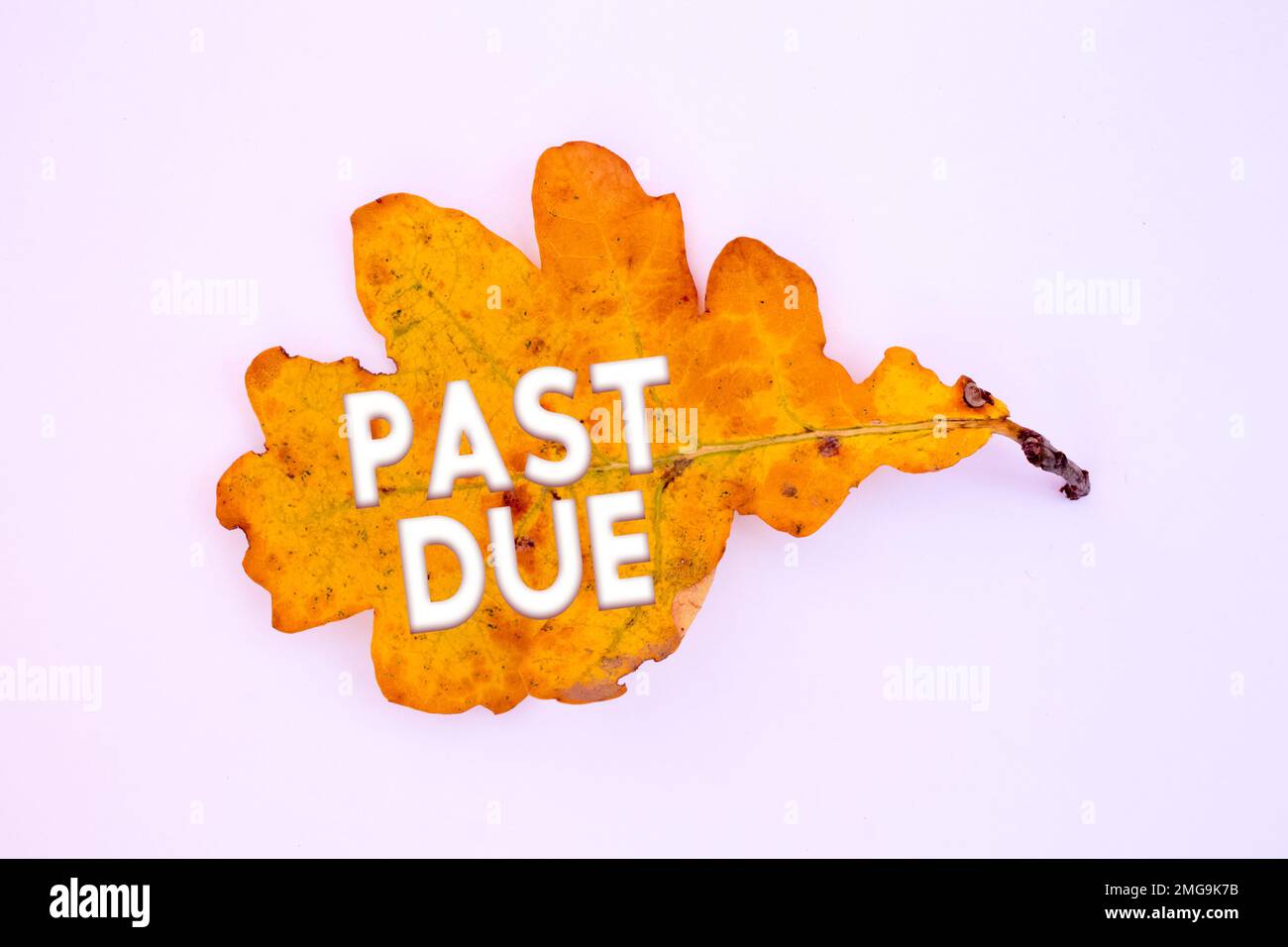 Autumn leaves, objects with Past Due text. Natural patterns, color ...