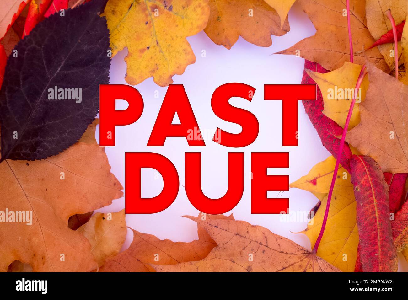 Autumn leaves, objects with Past Due text. Natural patterns, color ...