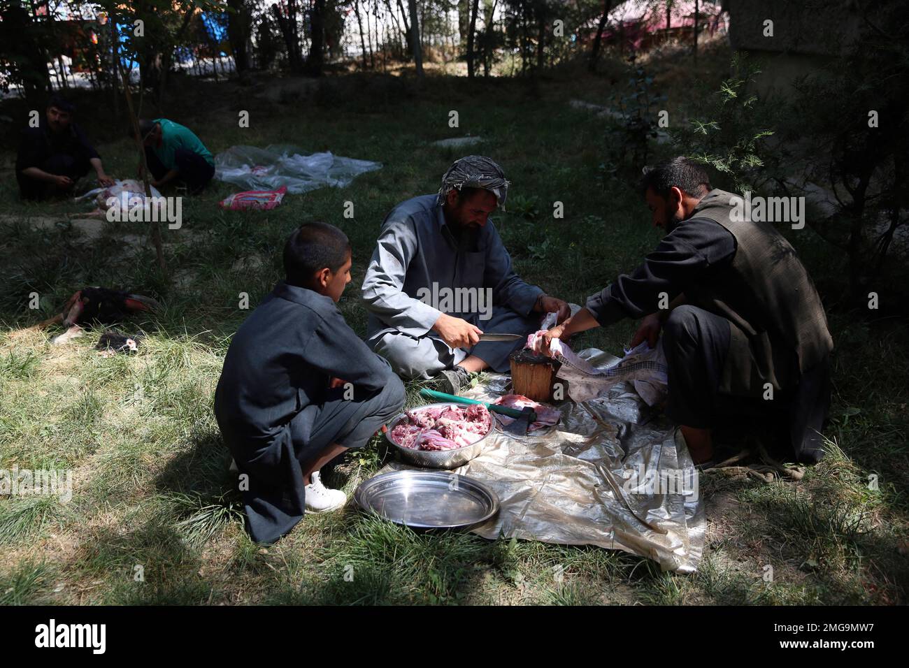 Men slaughter sheep on the first day of Eid al-Adha in Kabul ...