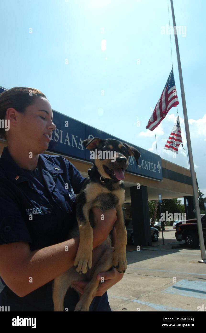 Animals - 26-HK-58-22. Coast Guard woman with dog outside LA Convention ...