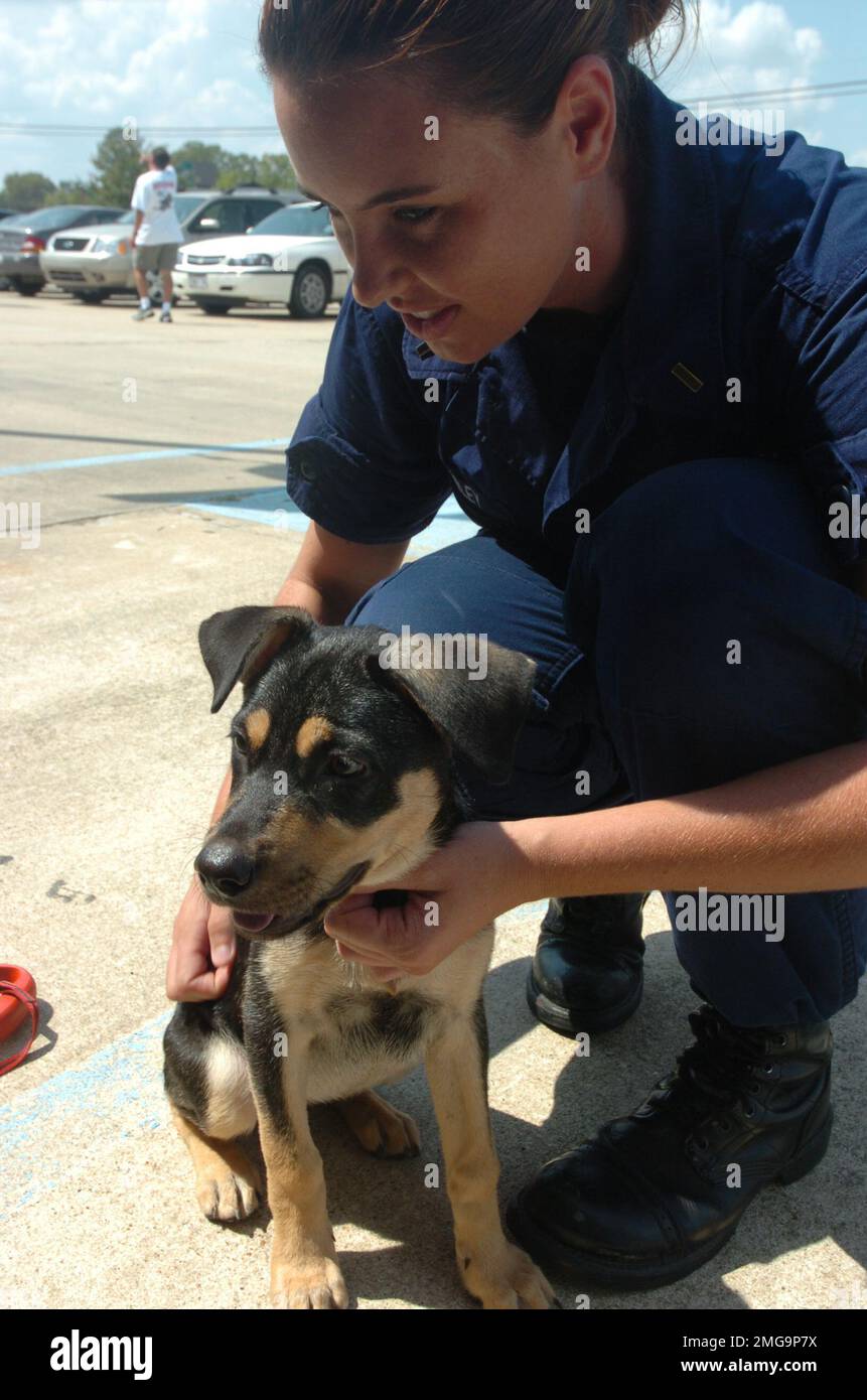 Animals - 26-HK-58-26. Coast Guard woman with dog outside LA Convention ...