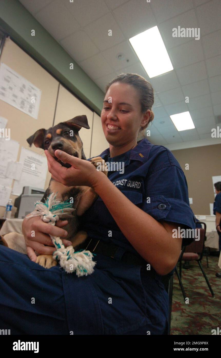 Animals - 26-HK-58-37. Dog indoors with Coast Guard woman3. Hurricane ...