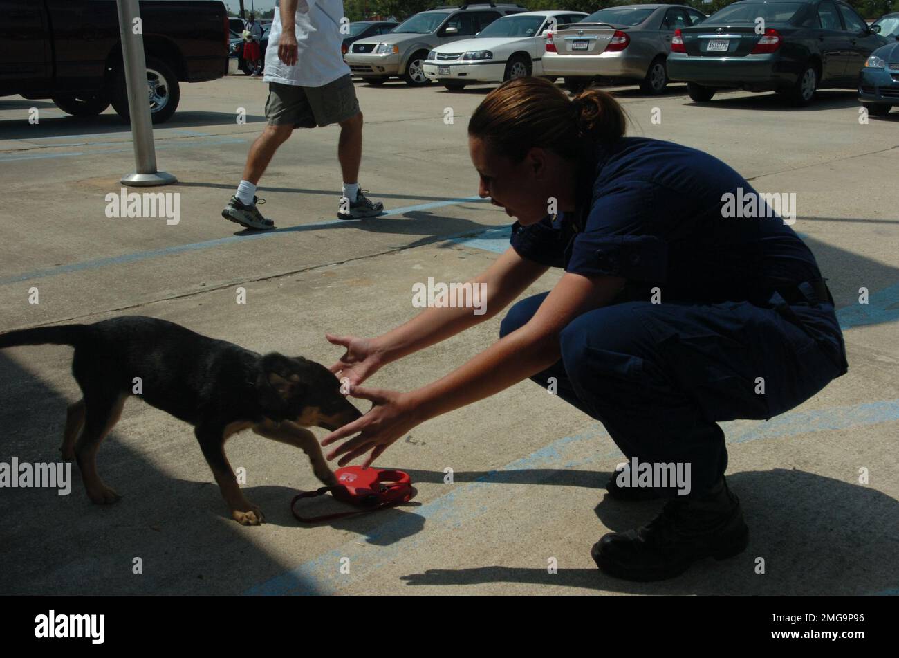 Animals - 26-HK-58-23. Coast Guard woman with dog outside LA Convention ...