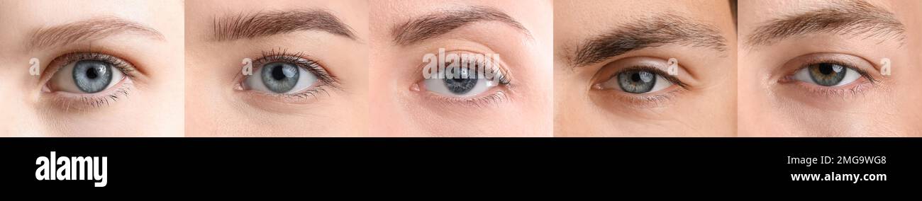 Collage with blue eyes of different people, closeup Stock Photo - Alamy