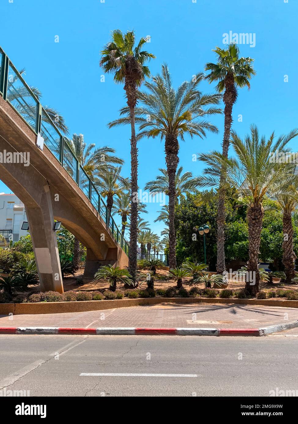 View of city street with palm trees, footbridge and road Stock Photo ...