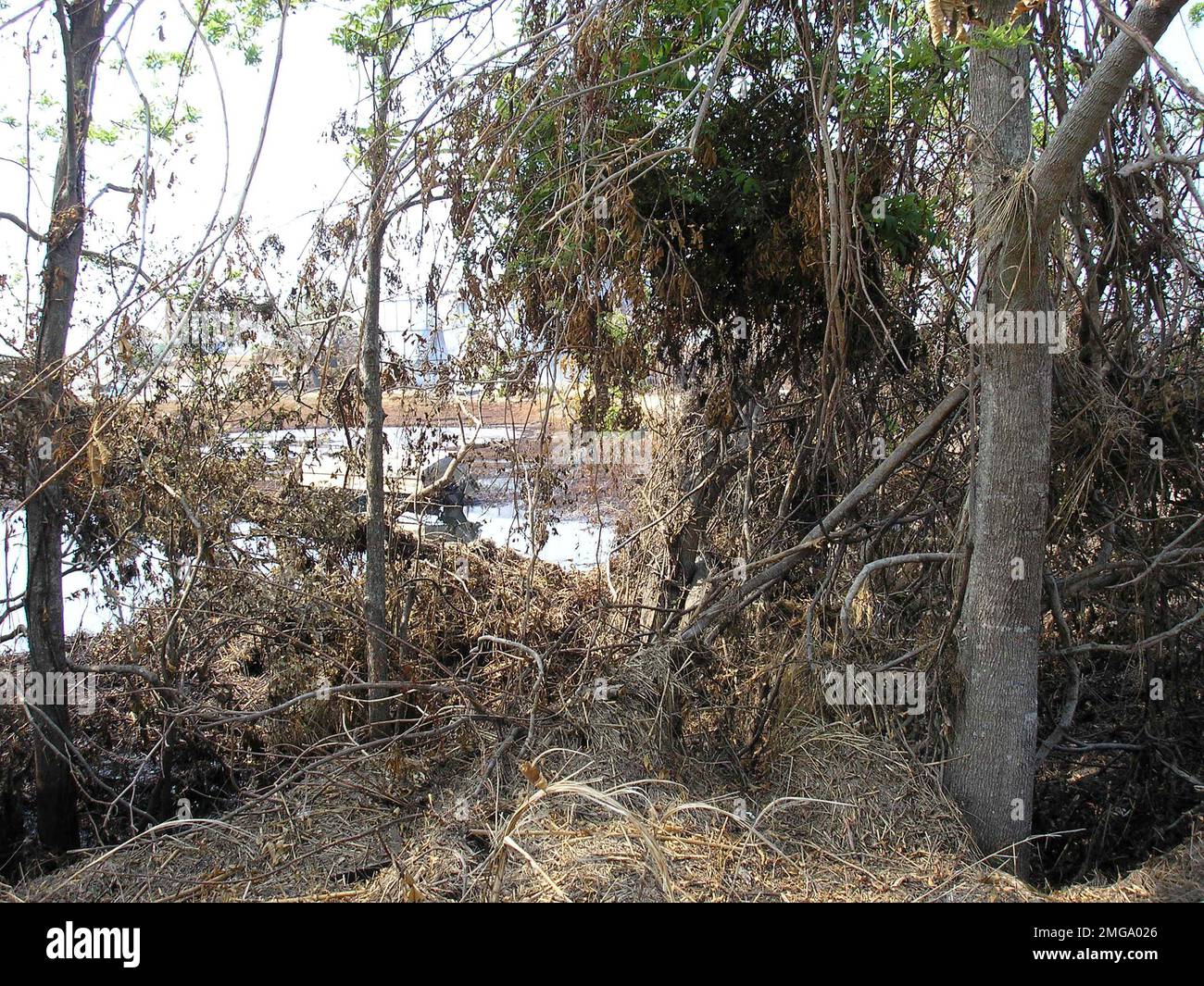 Pollution - ESU St. Louis Response - North Bass - 26-HK-230-14. VIEW OF ...