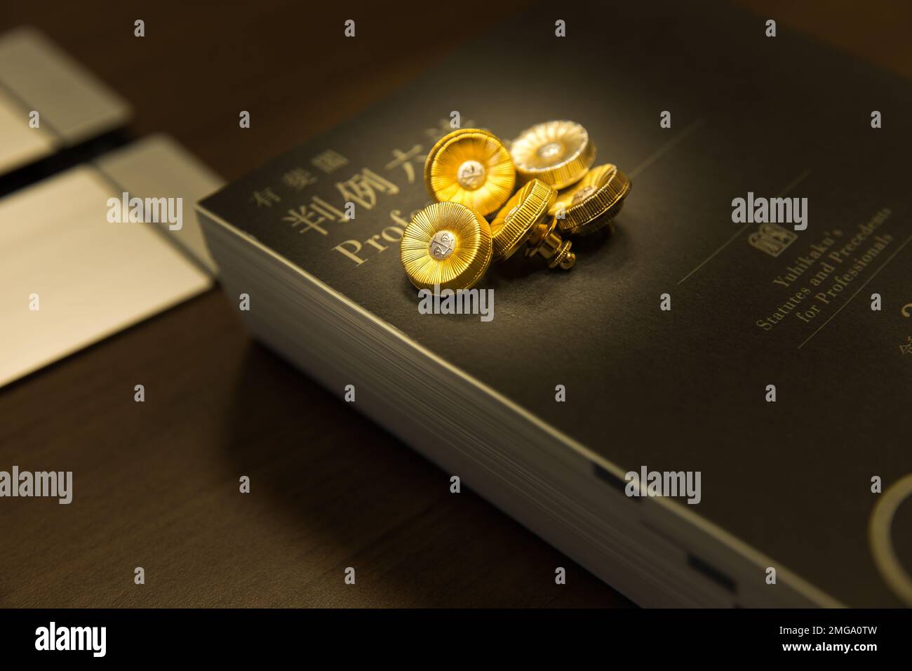 Bengoshi bajji o roppōzensho no ue de satsuei Stock Photo - Alamy